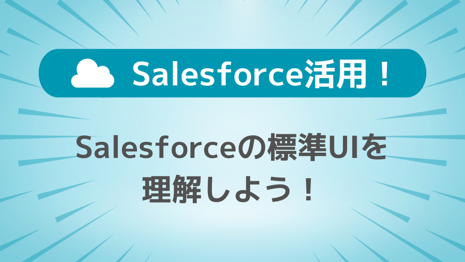 【Salesforce】Salesforceの標準UIを理解しよう！ - ウェブマーケティング会社によるSalesforce導入支援＆活用支援